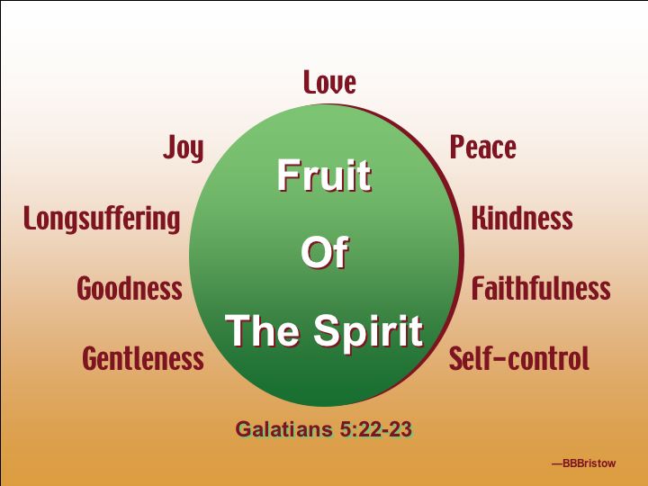 How can I grow the Fruits of the Spirit in my life? « Beyond the Watchtower